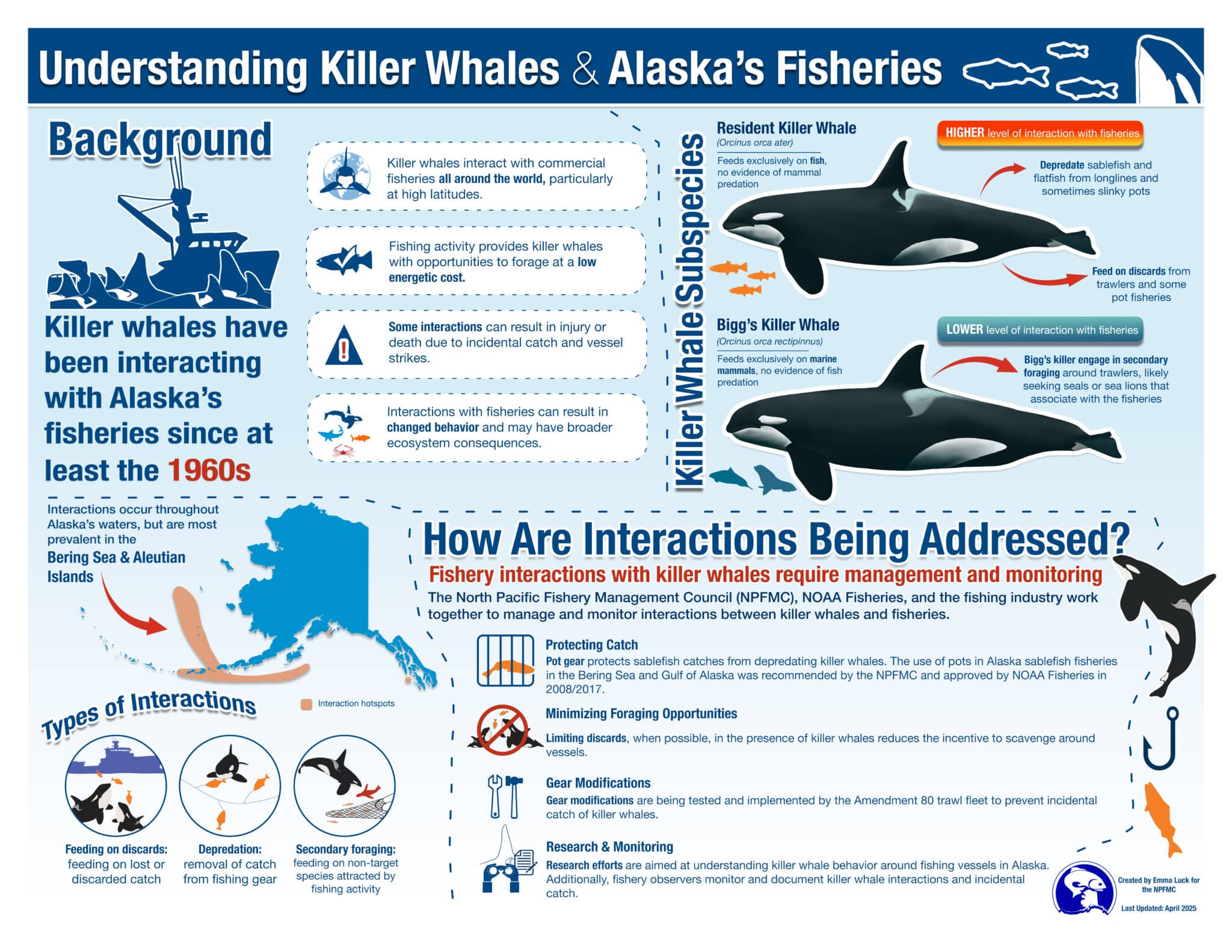 Protected Species | North Pacific Fishery Management Council
